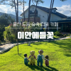 울산 울주군 두동 숲 속 정원이 예뻤던 강추 카페 이안에들꽃 내돈내산 후기 네이버 블로그
